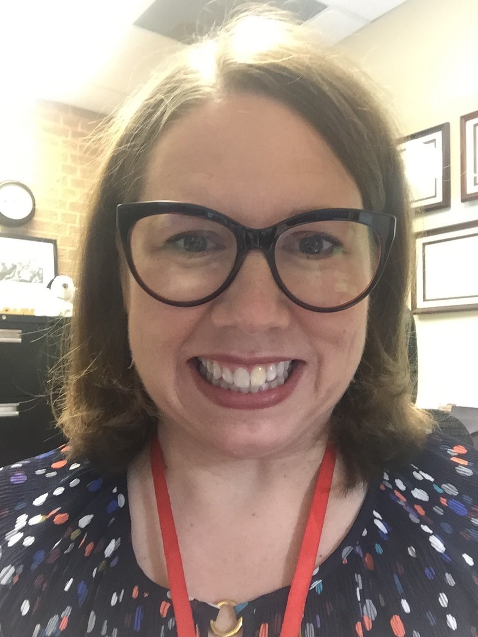 AVA Board of Directors – Association of VAWA Administrators